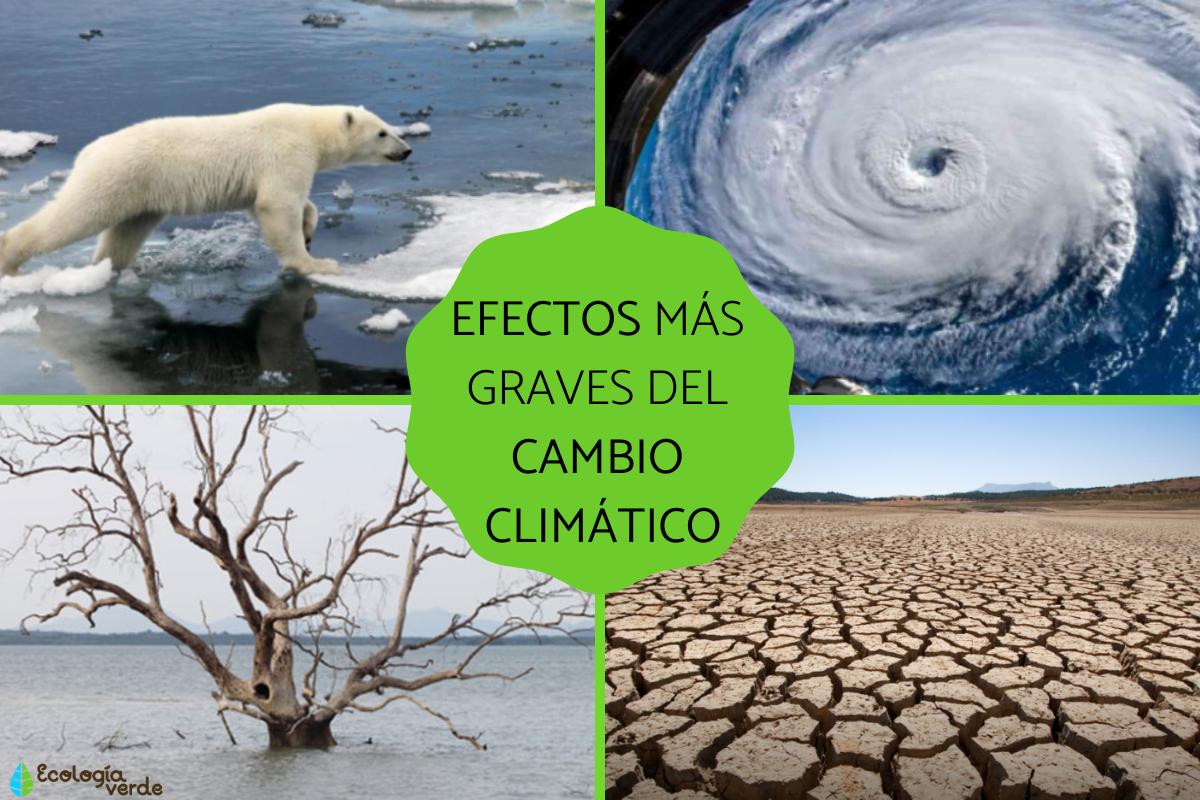 Ecologia y cambio climatico efectos de los cambios climaticos Ecologia y cambio climatico efectos de los cambios climaticos